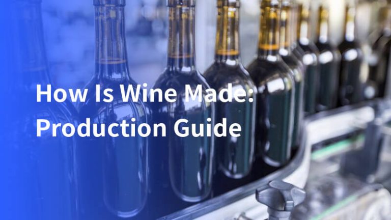 How Is Wine Made: Production Guide