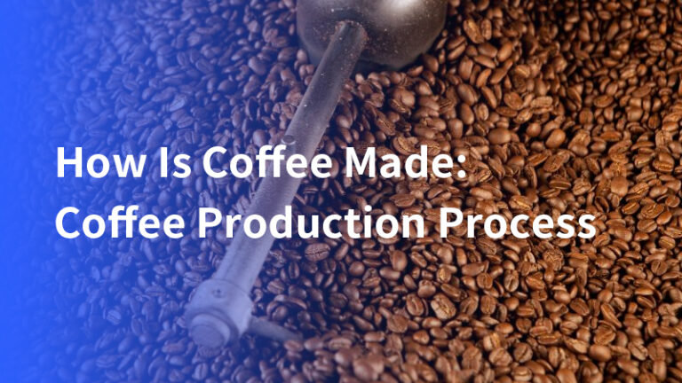 How Is Coffee Made: Coffee Production Process